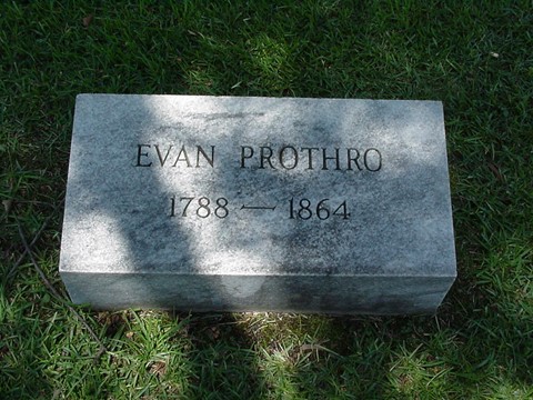 Where It All Started… – Gathering Leaves